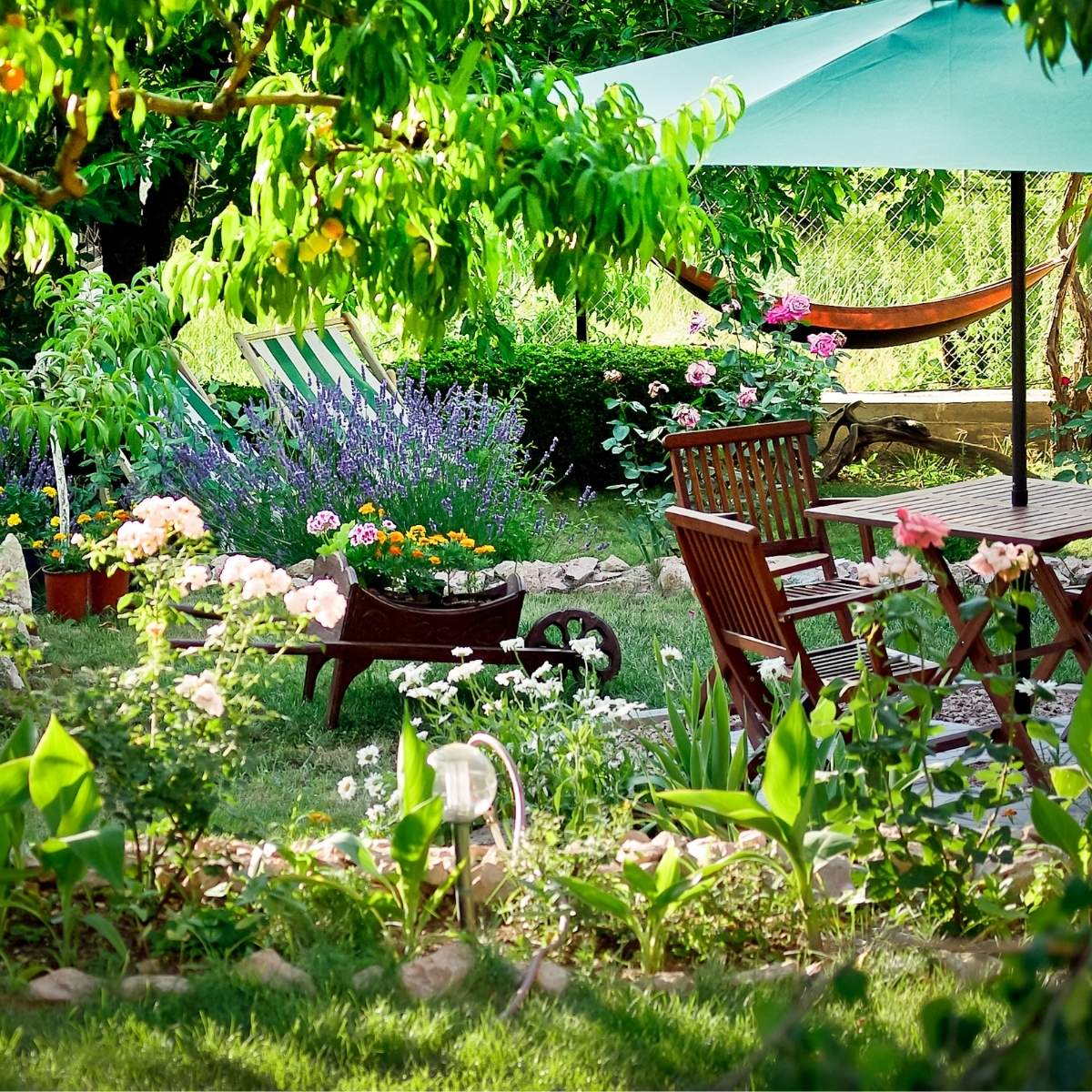 Gode ideer til din have – Haven Online